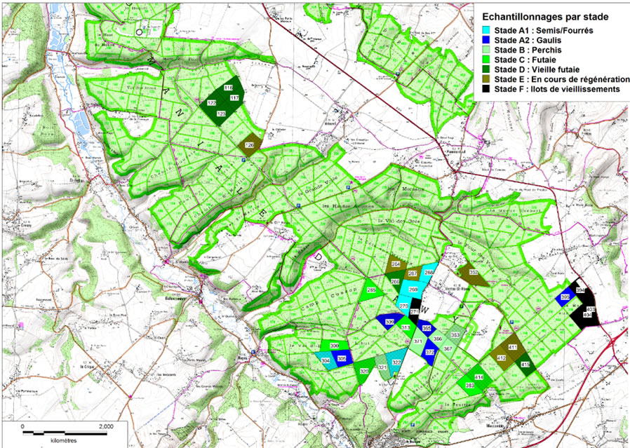 Projet Biodifor-Mesnières : l'IBP et cycle sylvicole